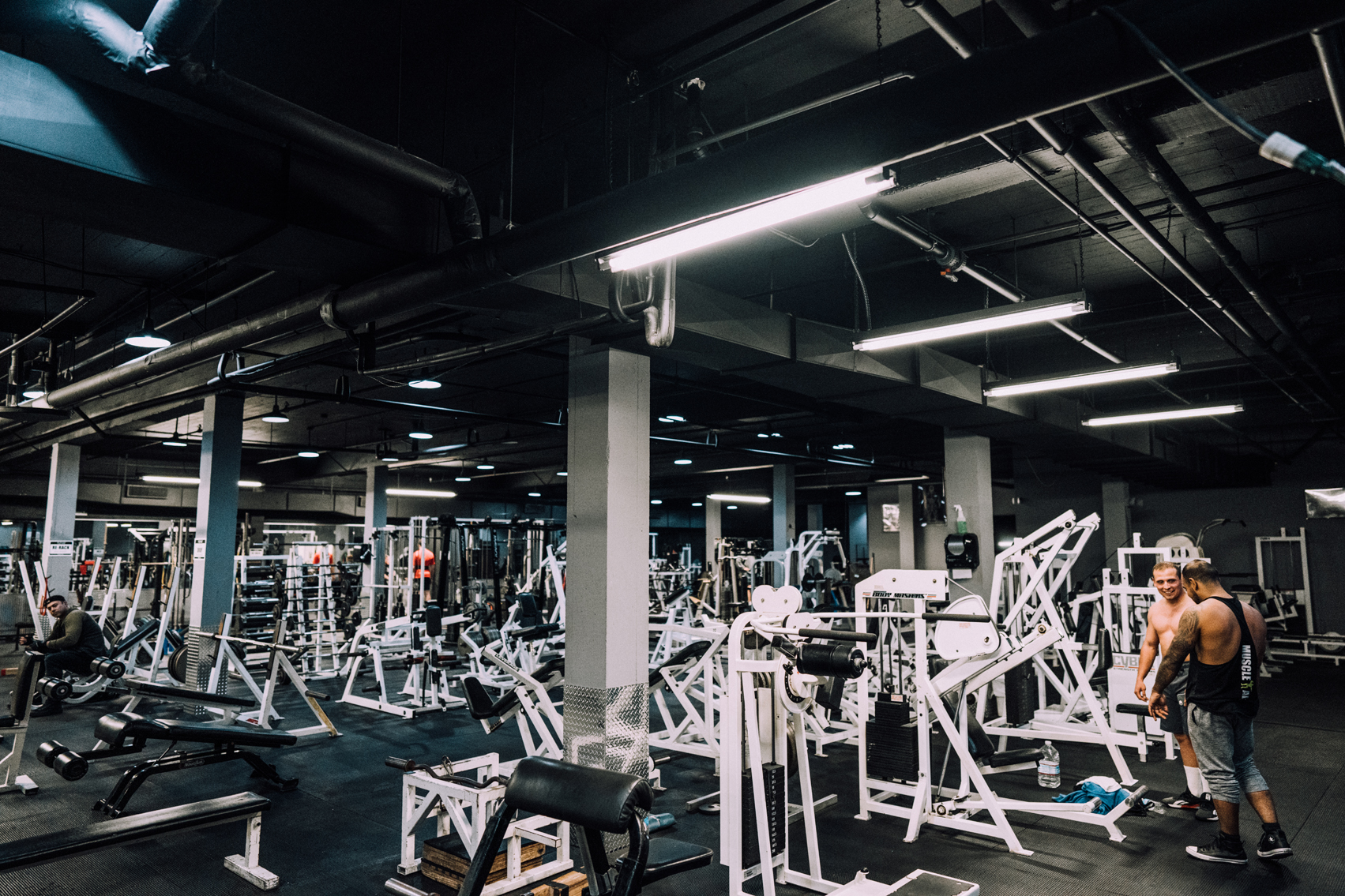 GYM Home | Underground Performance Gym